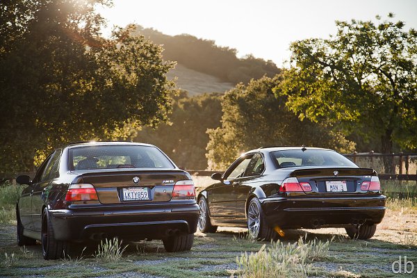 BMW M3 E46 & BMW M5 E39
