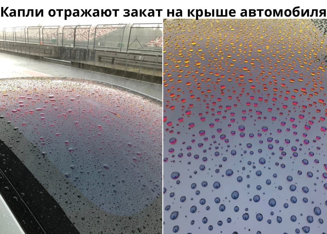 Красота в деталях | МЫСЛИ НА МИЛЛИОН | Фотострана | Пост №2415842711
