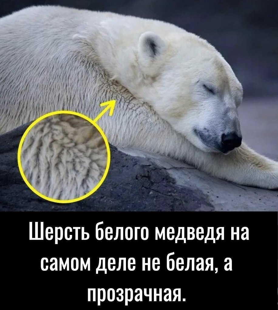 Очень интересно, но ничего не понятно! | Читающие. | Фотострана | Пост ...